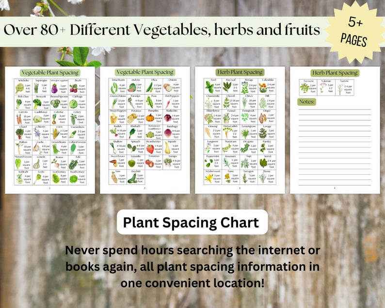 Square Foot Garden Bed Planner Printable Plant Spacing Guide - Etsy