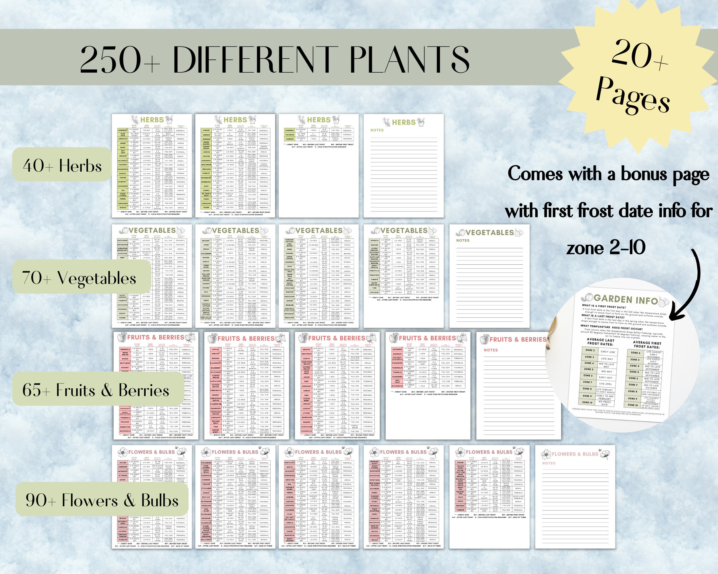 Whole Garden Seed Starting Cheat Sheet Homesteading Seed Sowing Guide ...
