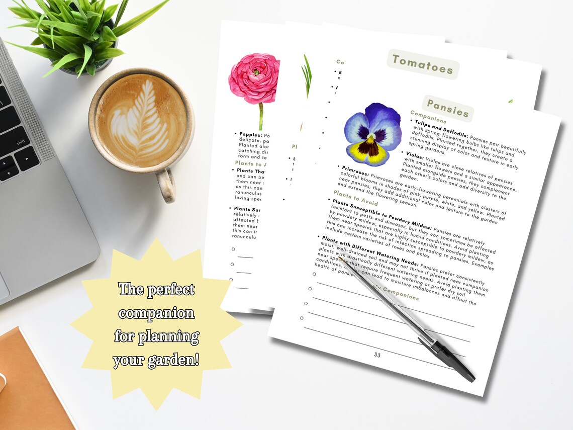 2024 Ultimate Companion Planting Guide New Garden Guide Gardener ...