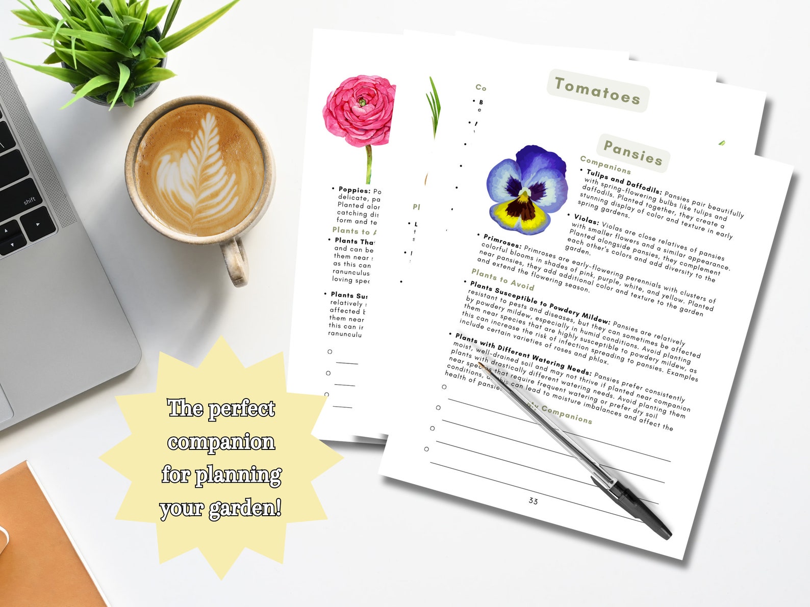 2024 Ultimate Companion Planting Guide New Garden Guide Gardener ...