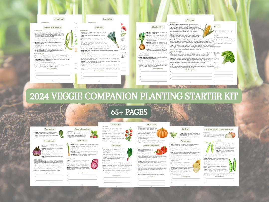 2024 Ultimate Vegetable Companion Planting Guide New Garden Guide ...