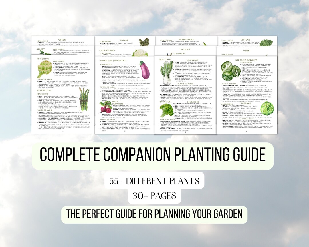 Companion Planting Guide Garden Planning Chart Companion Plants ...