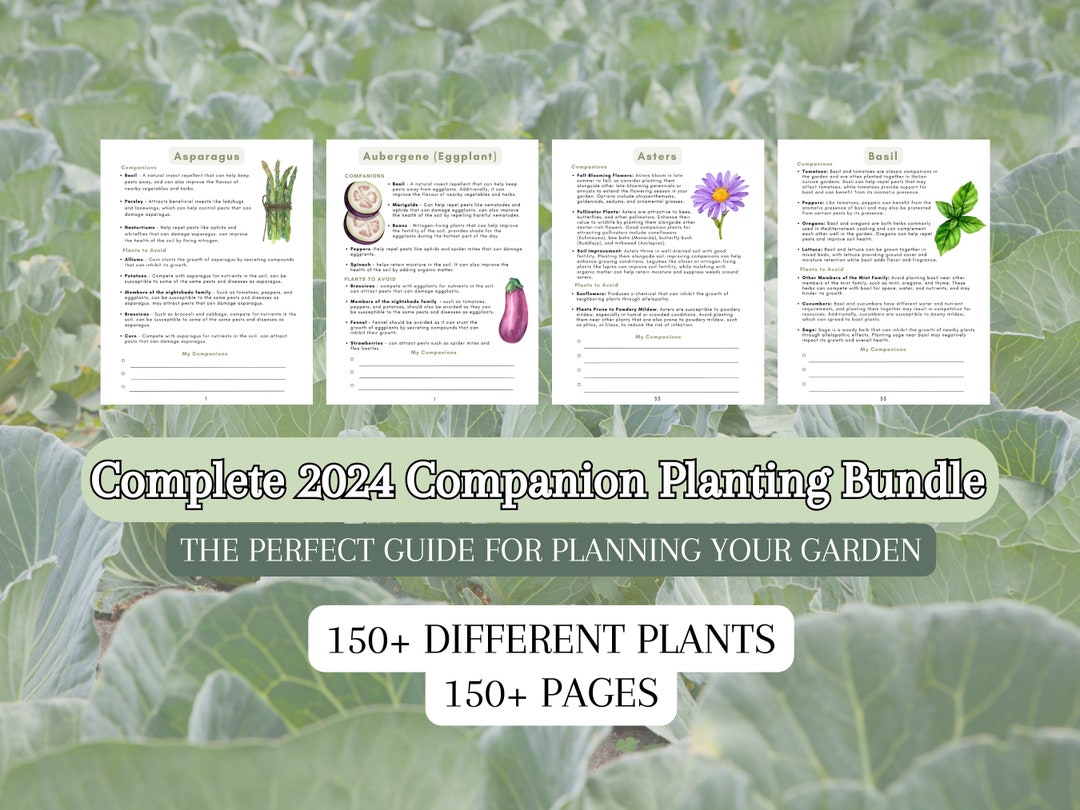2024 Ultimate Companion Planting Guide New Garden Guide Gardener ...