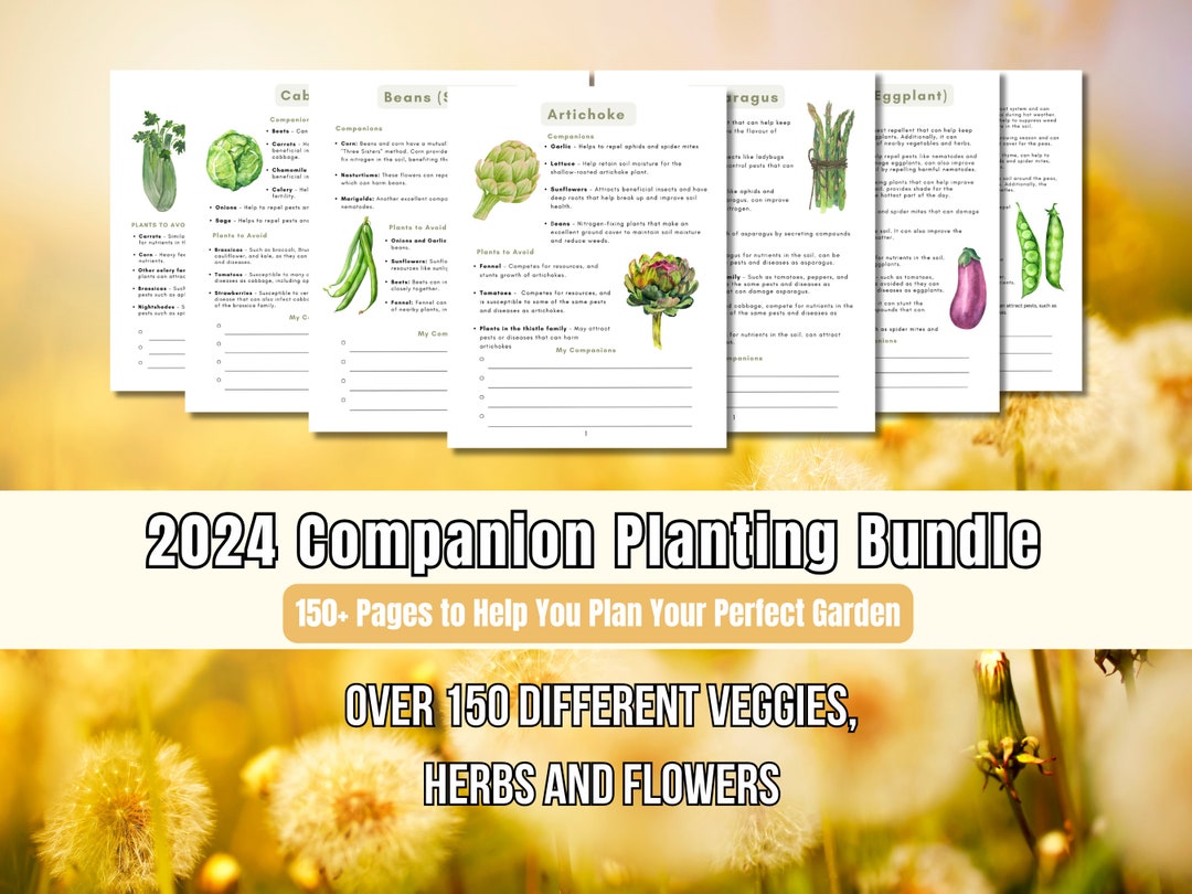 2024 Ultimate Companion Planting Guide New Garden Guide Gardener ...