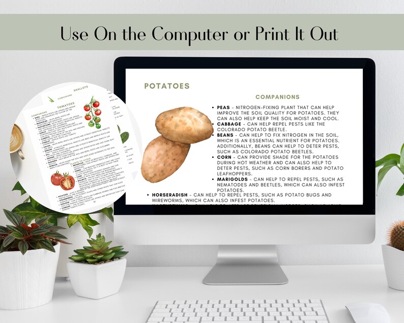 Companion Planting Guide Garden Planning Chart Companion Plants ...