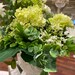 Handmade Floral Arrangement in White Vase Elegant Green and White Silk ...