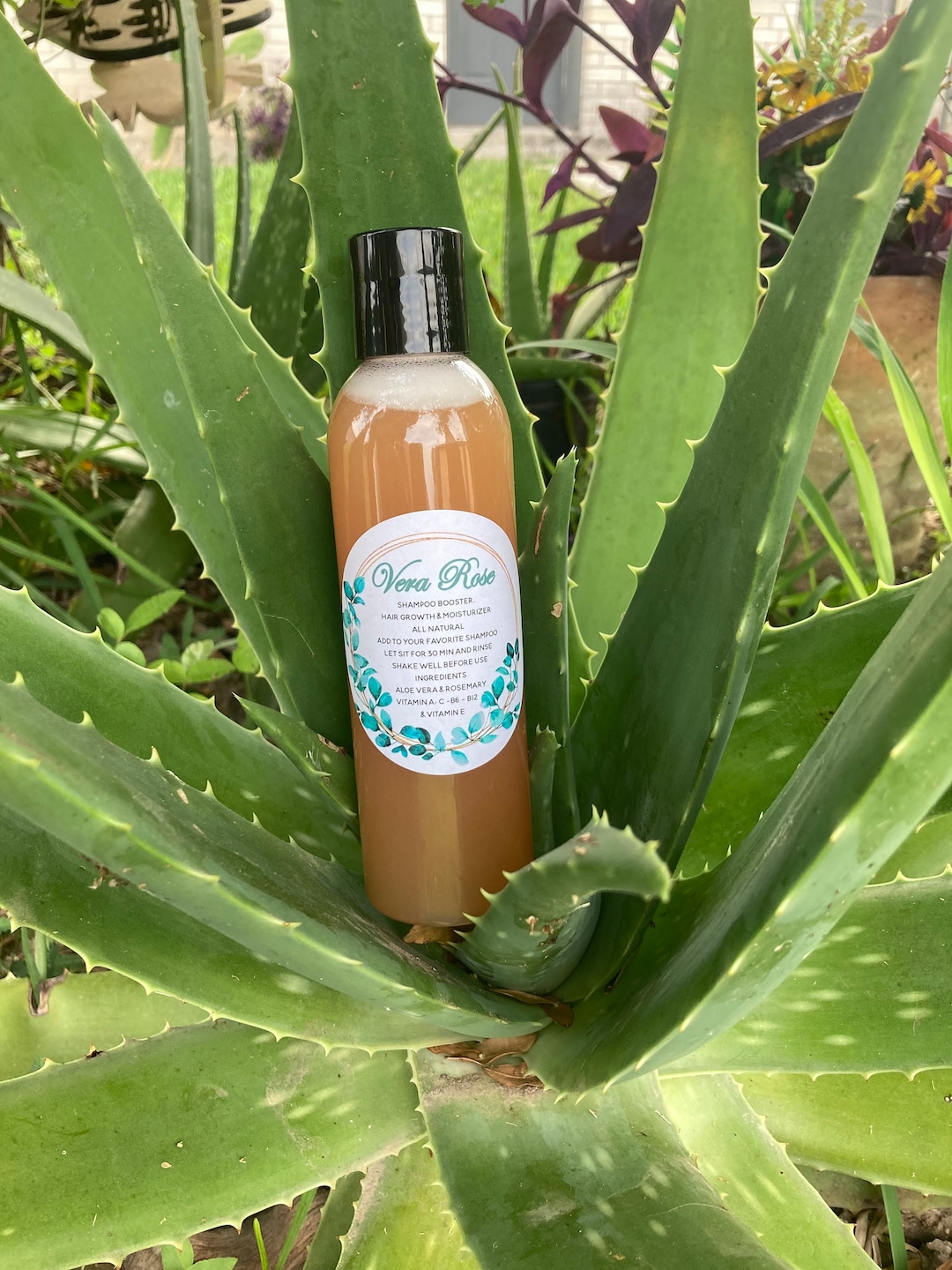 Rosemary & Aloe Vera Hair Growth Shampoo Booster - Etsy