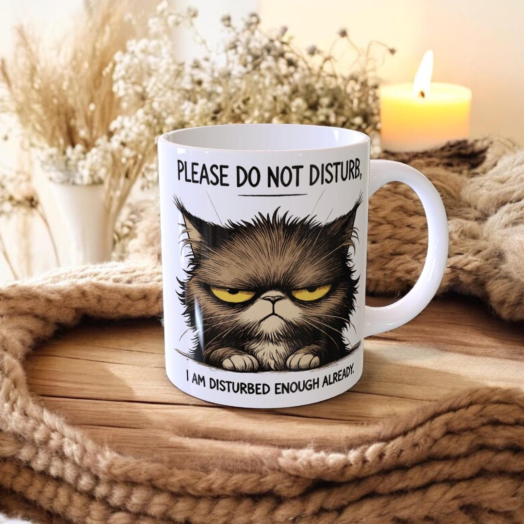 Grumpy Cat Mug Funny Do Not Disturb Coffee Cup Cat Lover Gift Humorous ...
