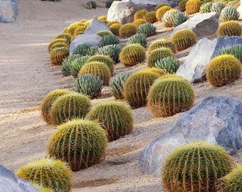 Decomposed Granite 1.2lbs Top Dressing/ Soil Additive DG - Etsy