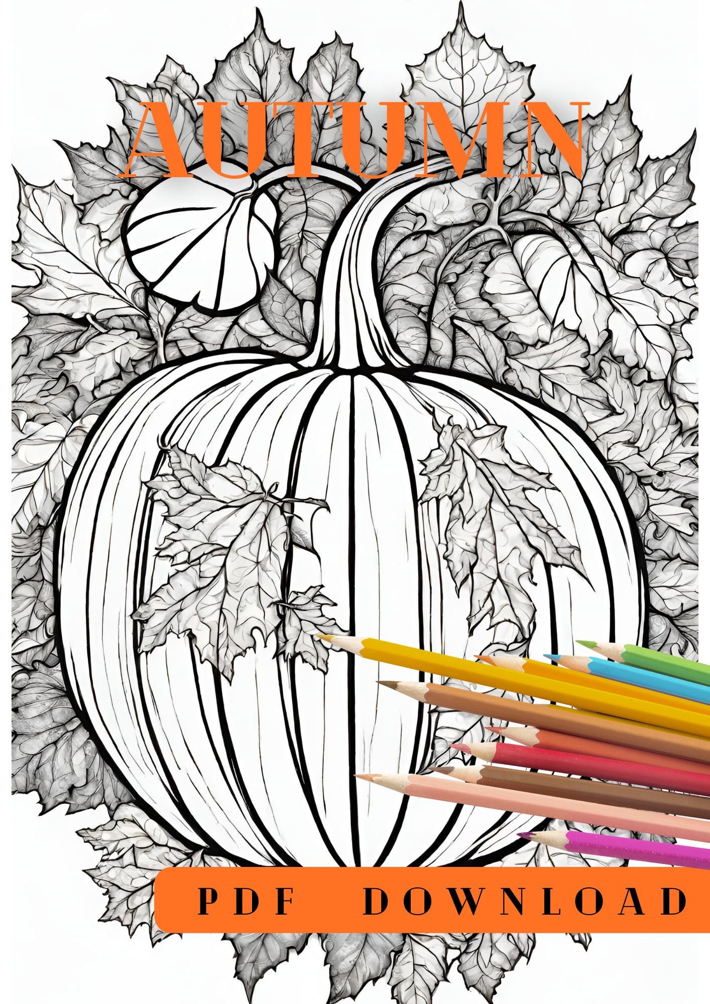 Coloring Book, the 4 Seasons to Color Coloring Book, Pdf 20 Pages Ready ...