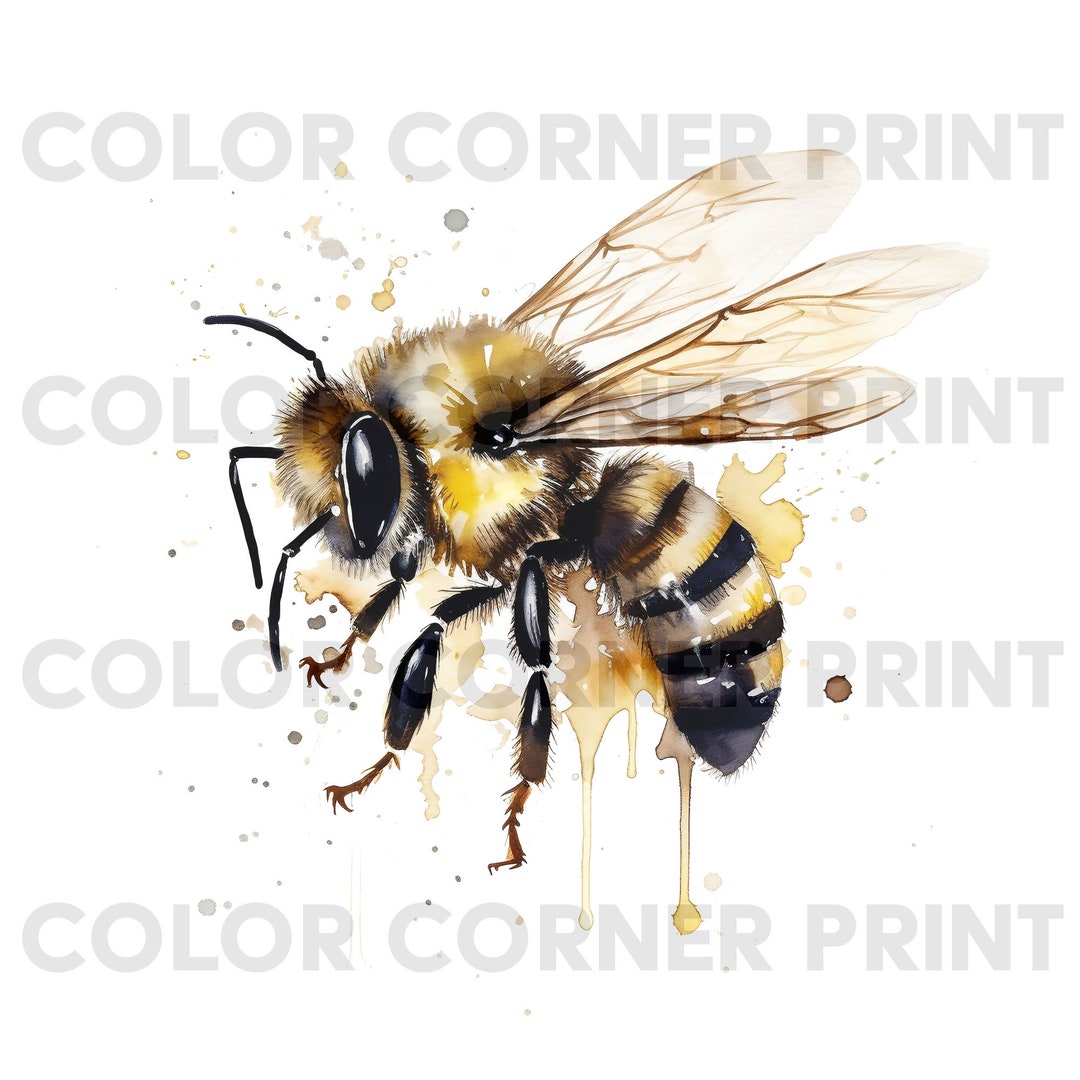 Bee Watercolor PNG and JPEG Digital Download for Sublimation - 300 Dpi ...