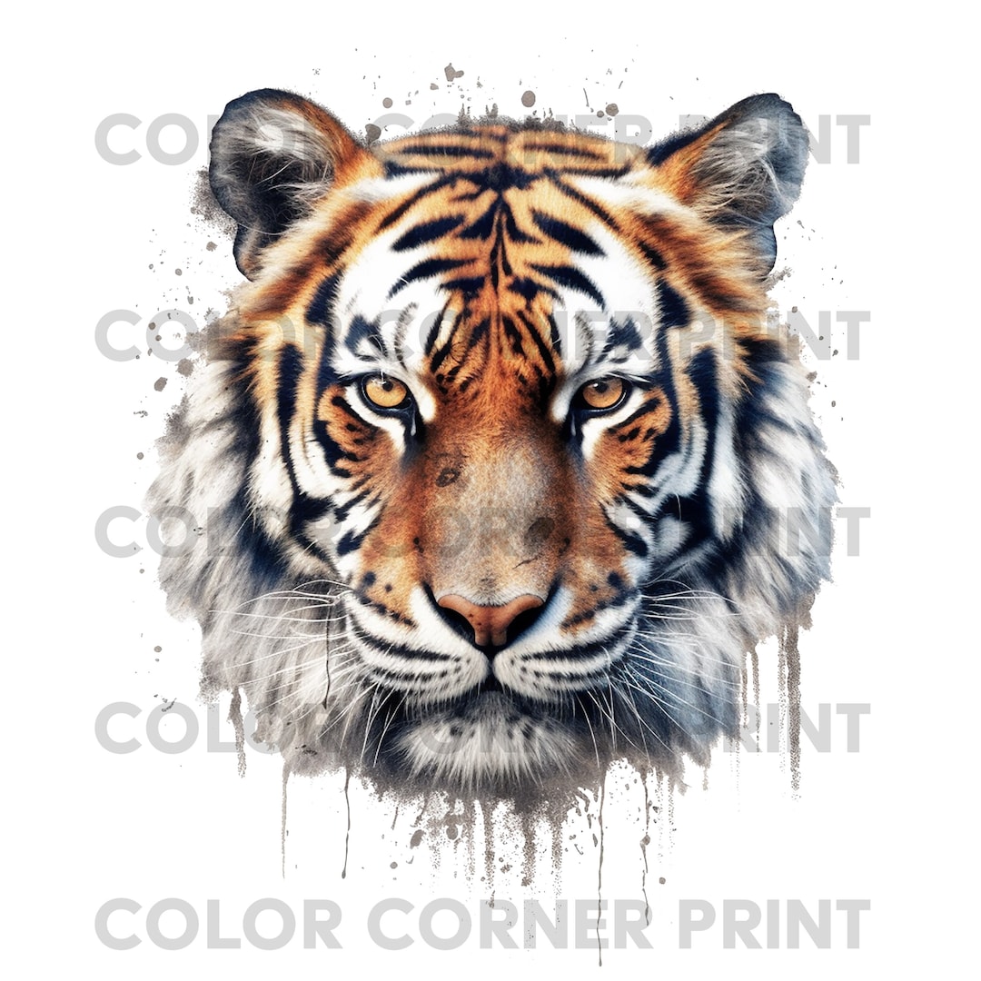 Tiger Design PNG and JPEG Digital Download for Sublimation 300 Dpi 3000 ...