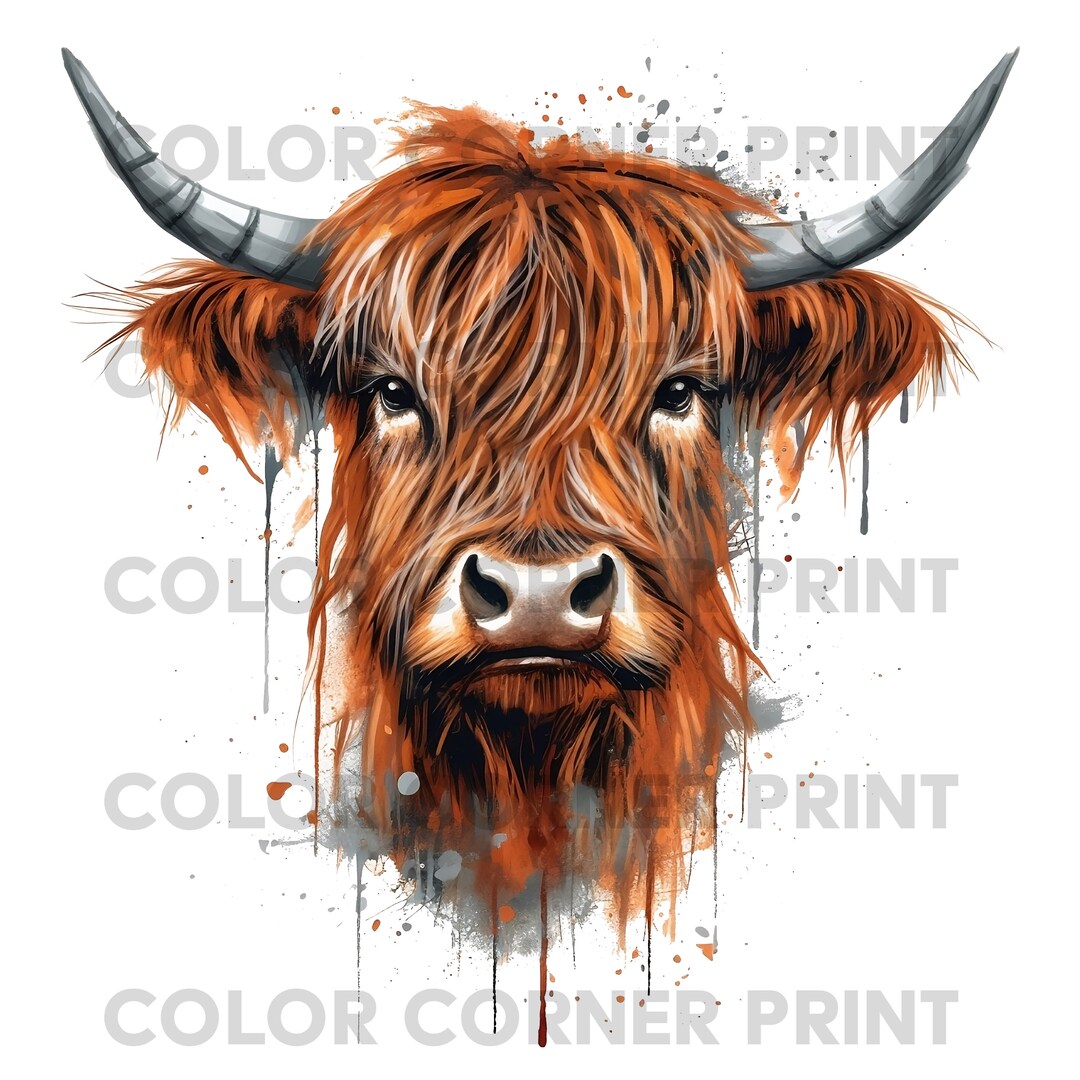 Highland Cow T-shirt Design PNG and JPEG Digital Download for ...