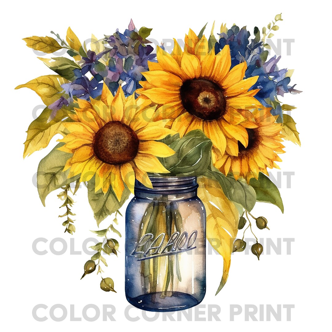 Sunflower PNG and JPEG Digital Download for Sublimation - Transparent ...