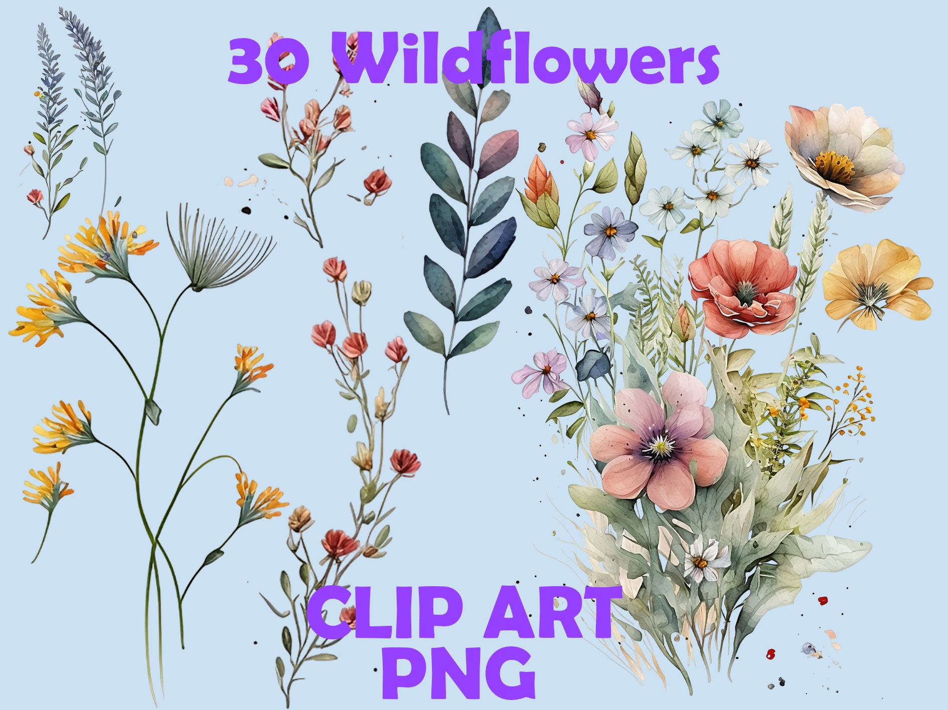 Wild Flower Watercolor Clipart, Botanical Wild Flowers Clipart, Flowers ...