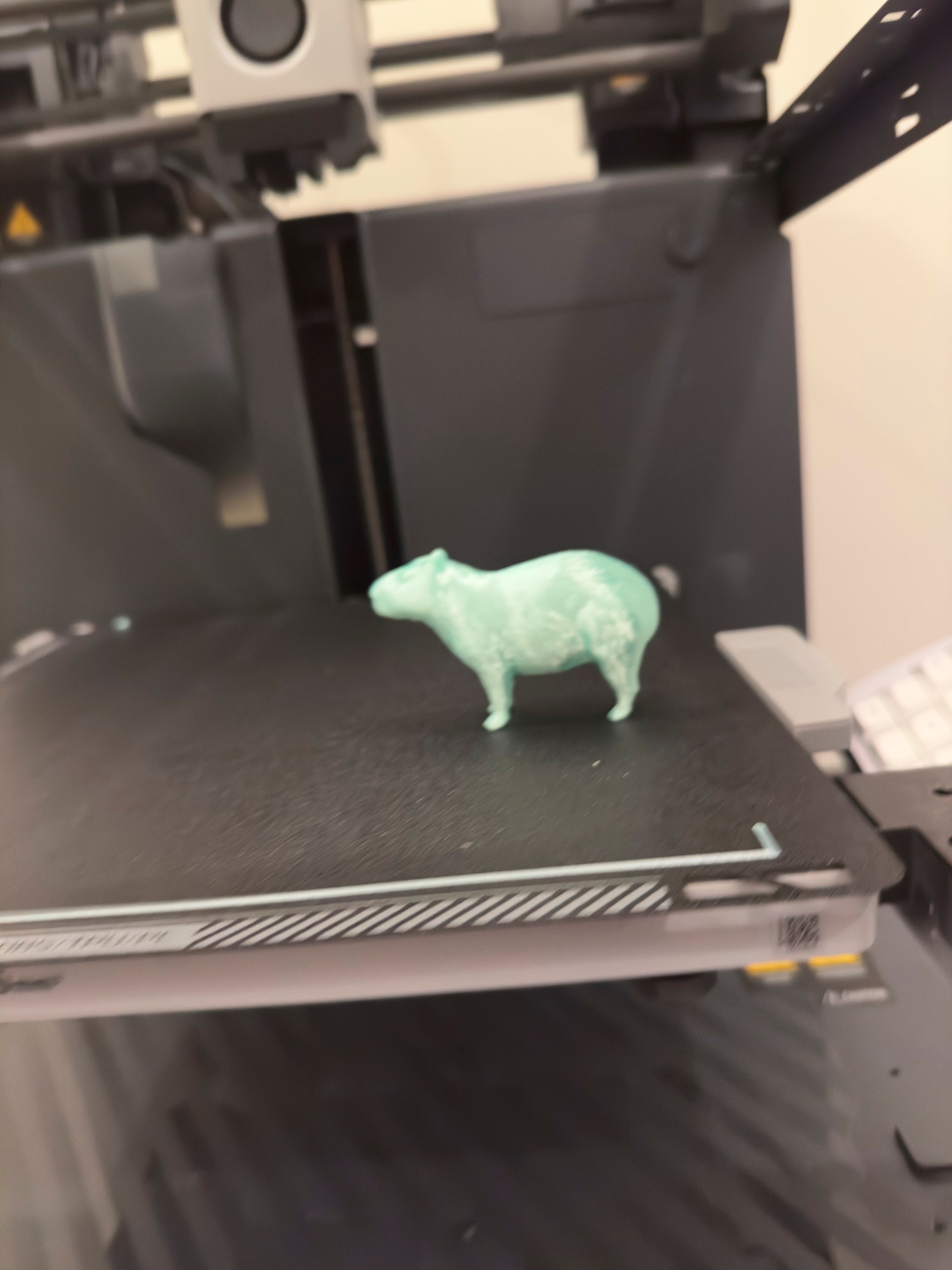 3D Printed Capybara - Etsy