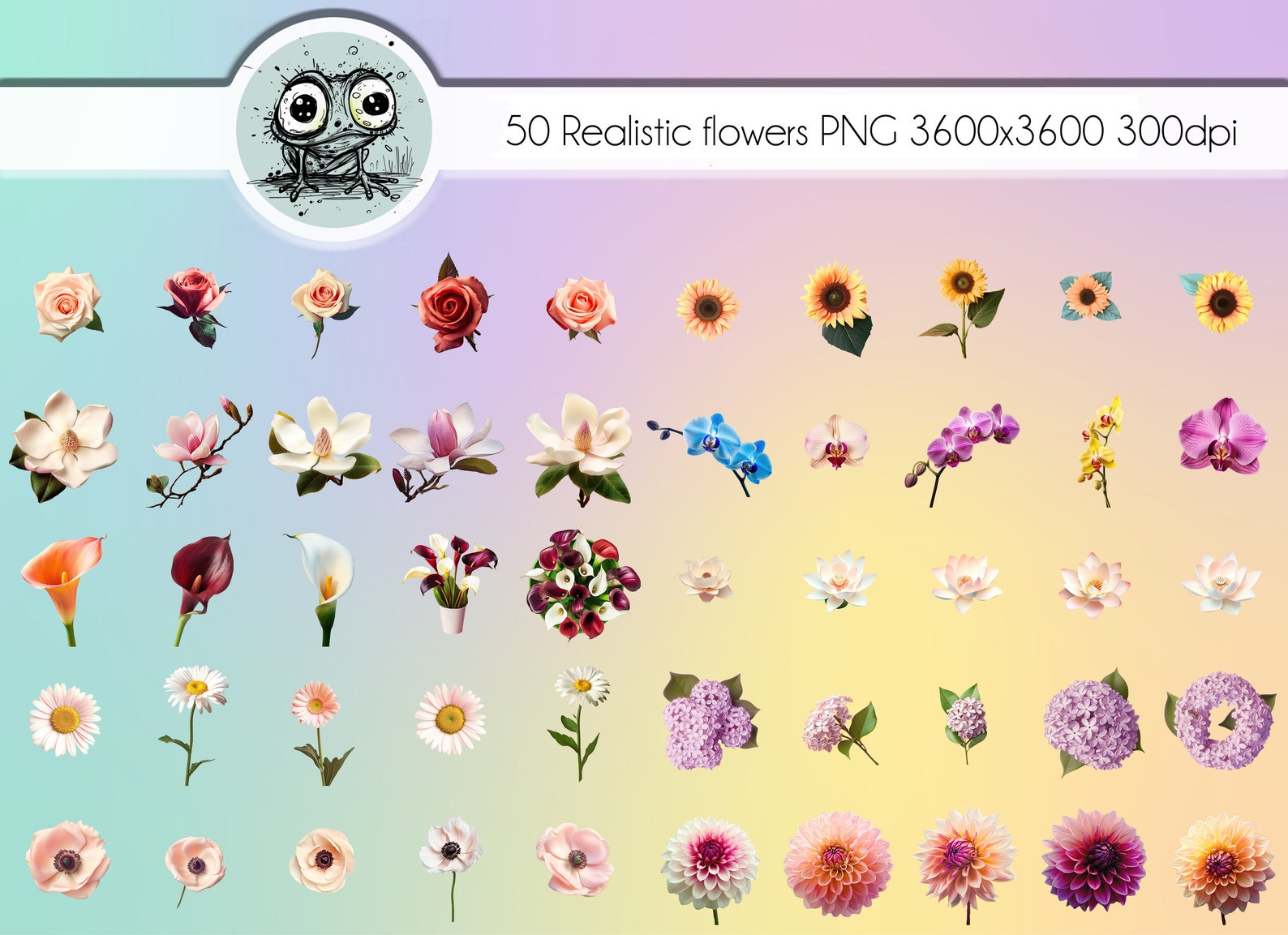 REAL Flower Clipart Flower PNG White Flower Rose Clip Art - Etsy