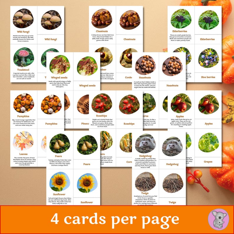 Autumn Flashcards Printable: Montessori Fall Vocabulary Cards (PDF ...