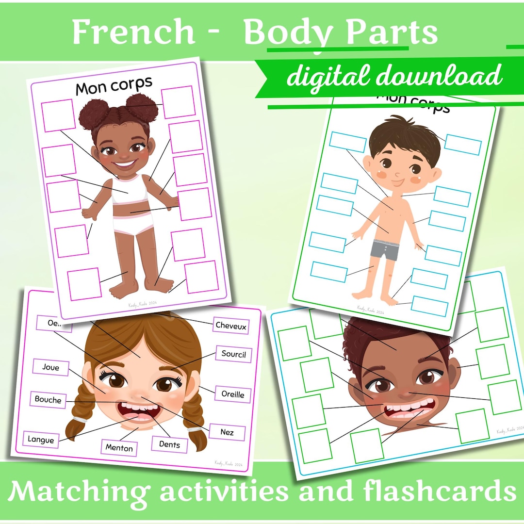 Body Parts Flashcards and Activities for Preschool, Home Education ...