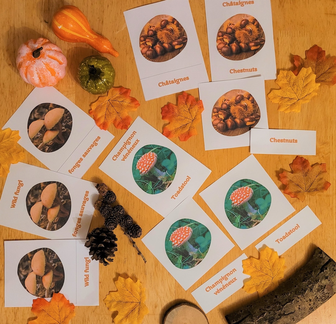 Tarjetas didácticas de otoño imprimibles, materiales Montessori ...