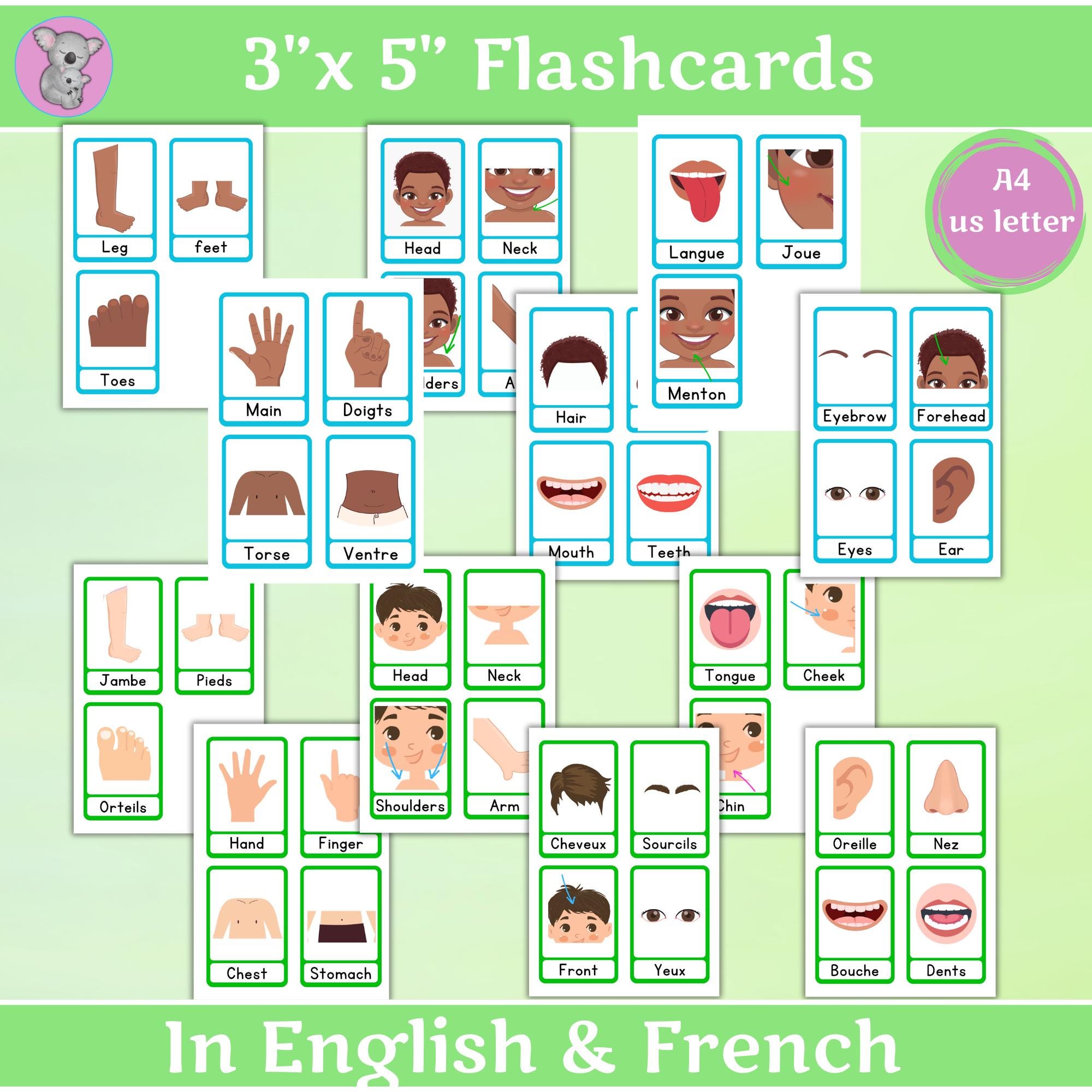 Bilingual Body Parts Flashcards and Activities for Preschool, Home ...