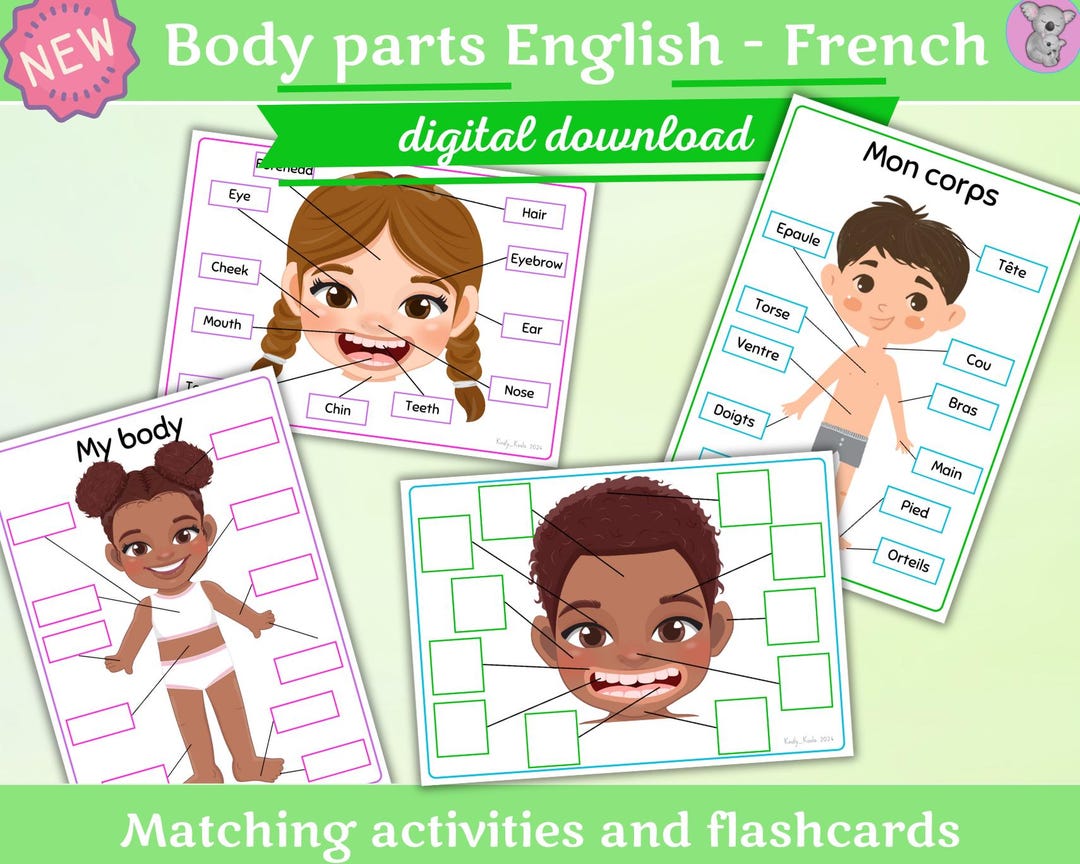 Bilingual Body Parts Flashcards and Activities for Preschool, Home ...