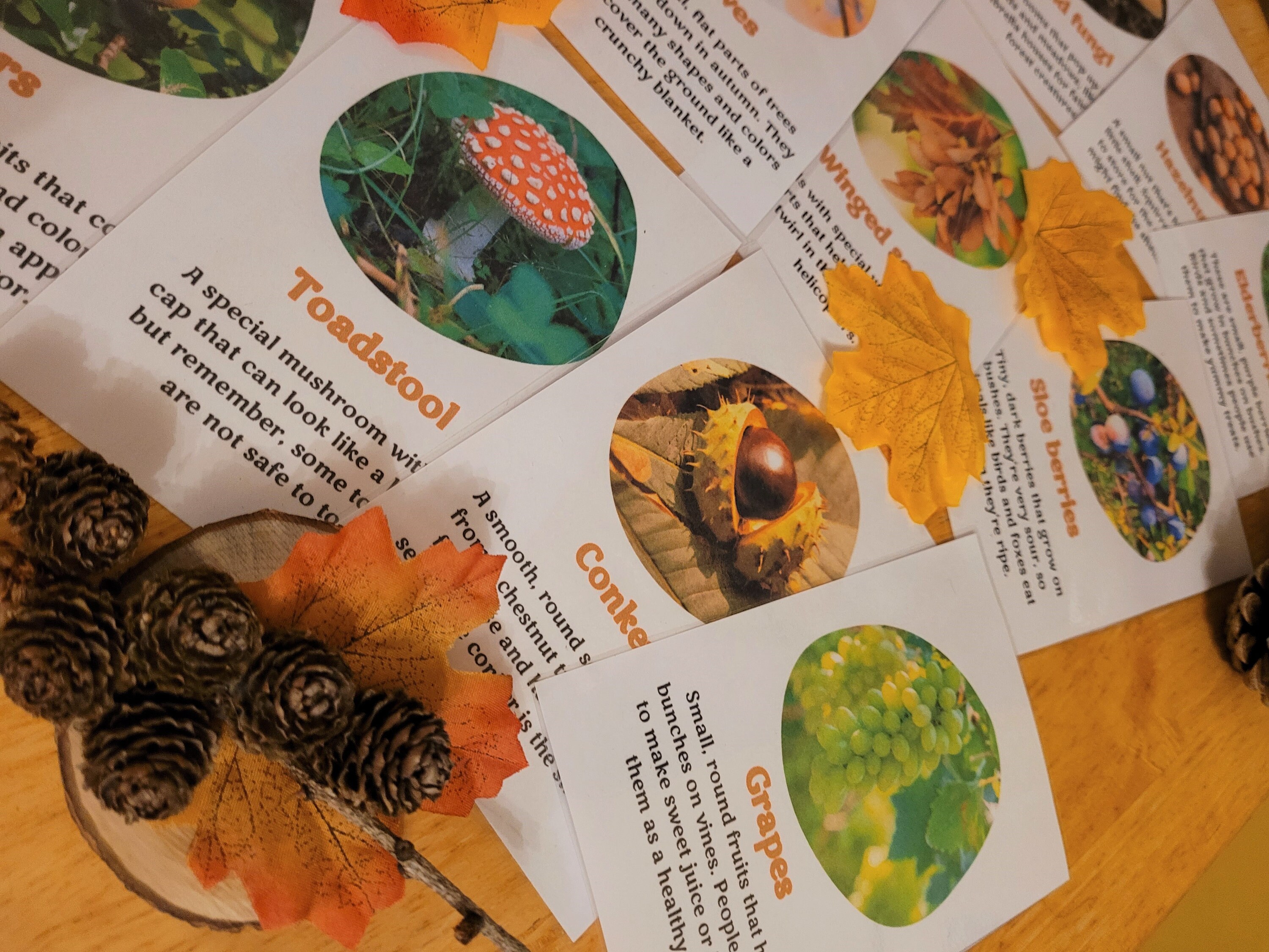 Autumn Flashcards Printable: Montessori Fall Vocabulary Cards (PDF ...