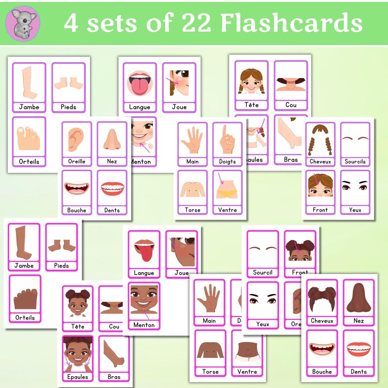 Body Parts Flashcards and Activities for Preschool, Home Education ...