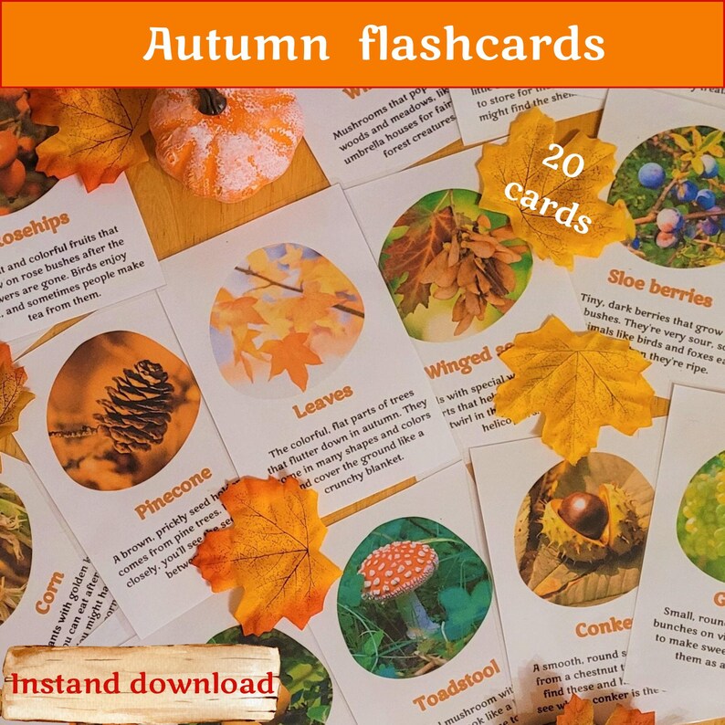 Autumn Flashcards Printable: Montessori Fall Vocabulary Cards (PDF ...