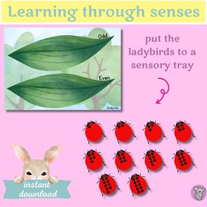 Easter Odd and Even Number Sorting Activity: Spring Math Game (digital ...