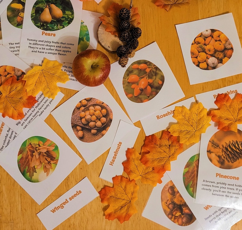 Autumn Flashcards Printable: Montessori Fall Vocabulary Cards (PDF ...