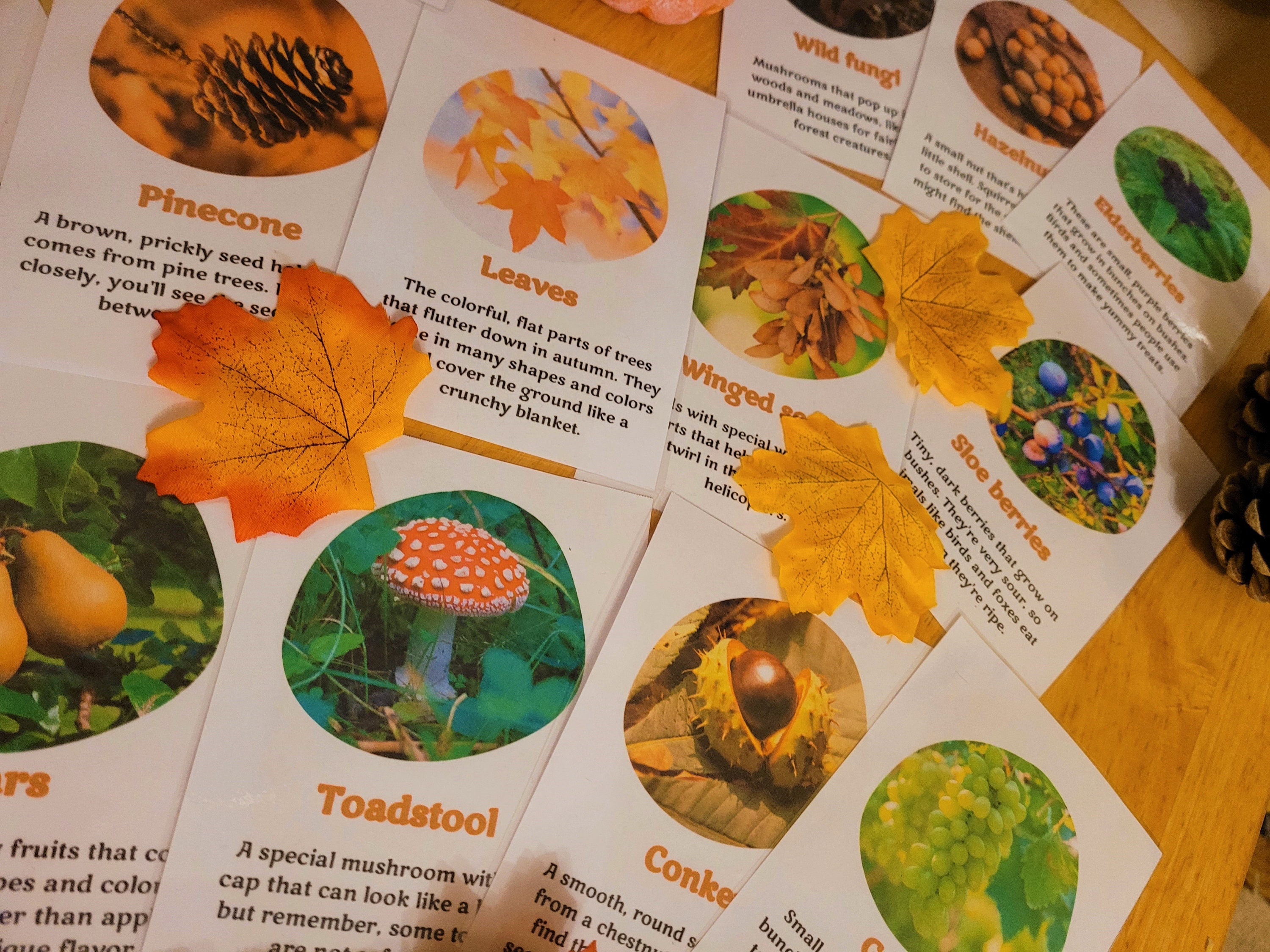 Autumn Flashcards Printable: Montessori Fall Vocabulary Cards (PDF ...