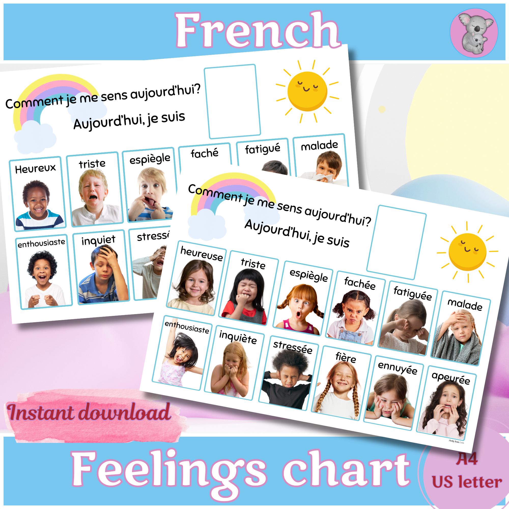 French Emotions & Feelings Chart, Real Pictures/photos. Perfect for ...