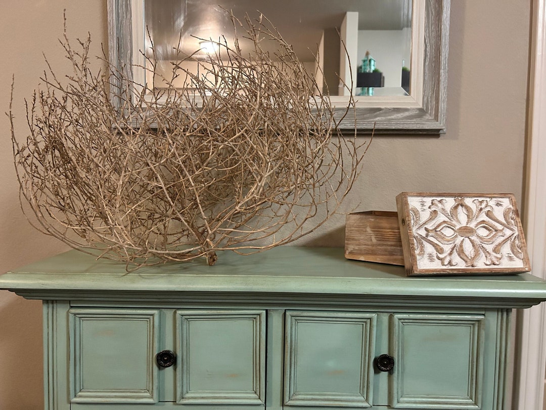Scented Authentic Tumbleweed - Etsy
