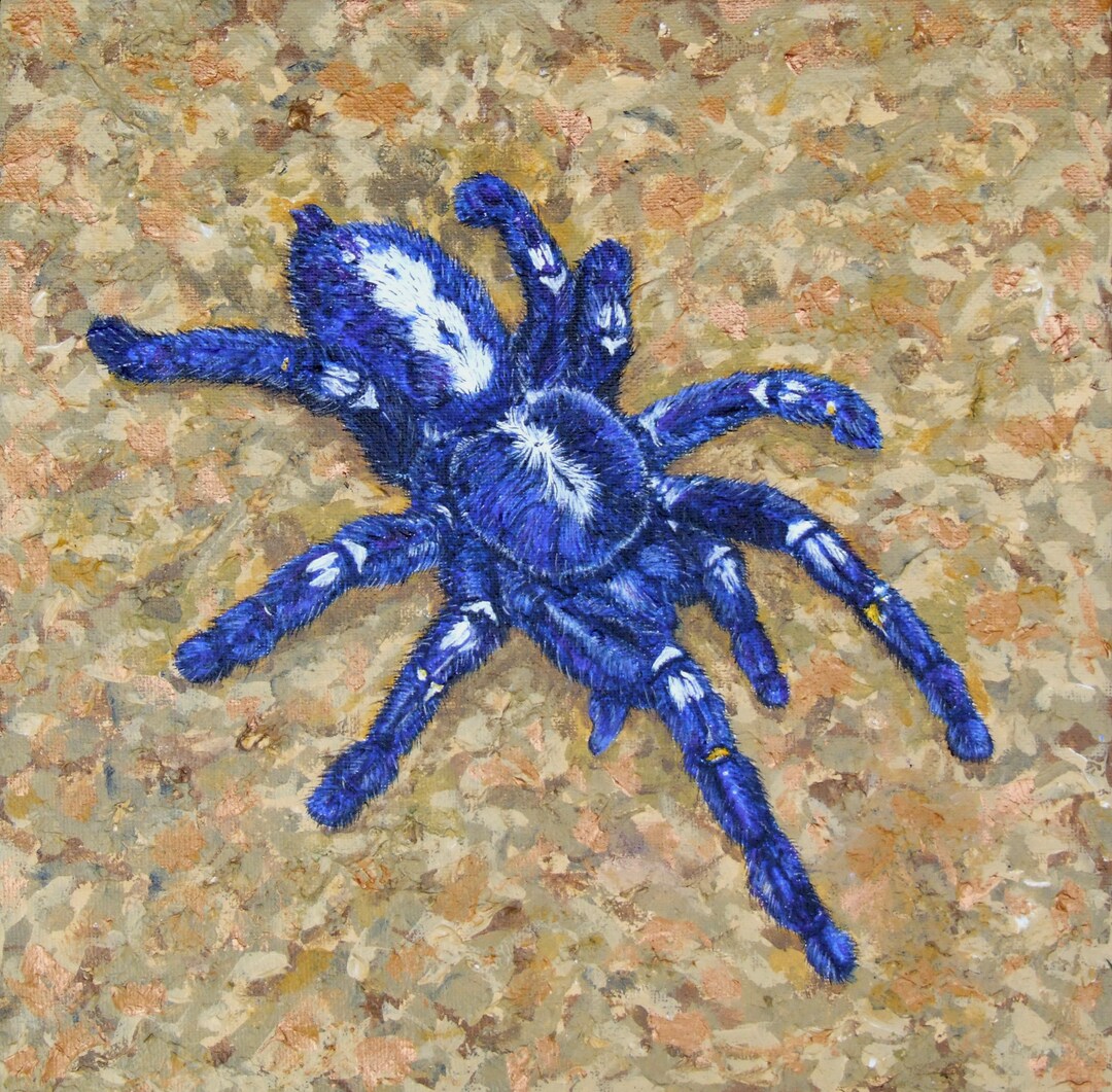 Original Painting Peacock Tarantula PTG1 - Etsy