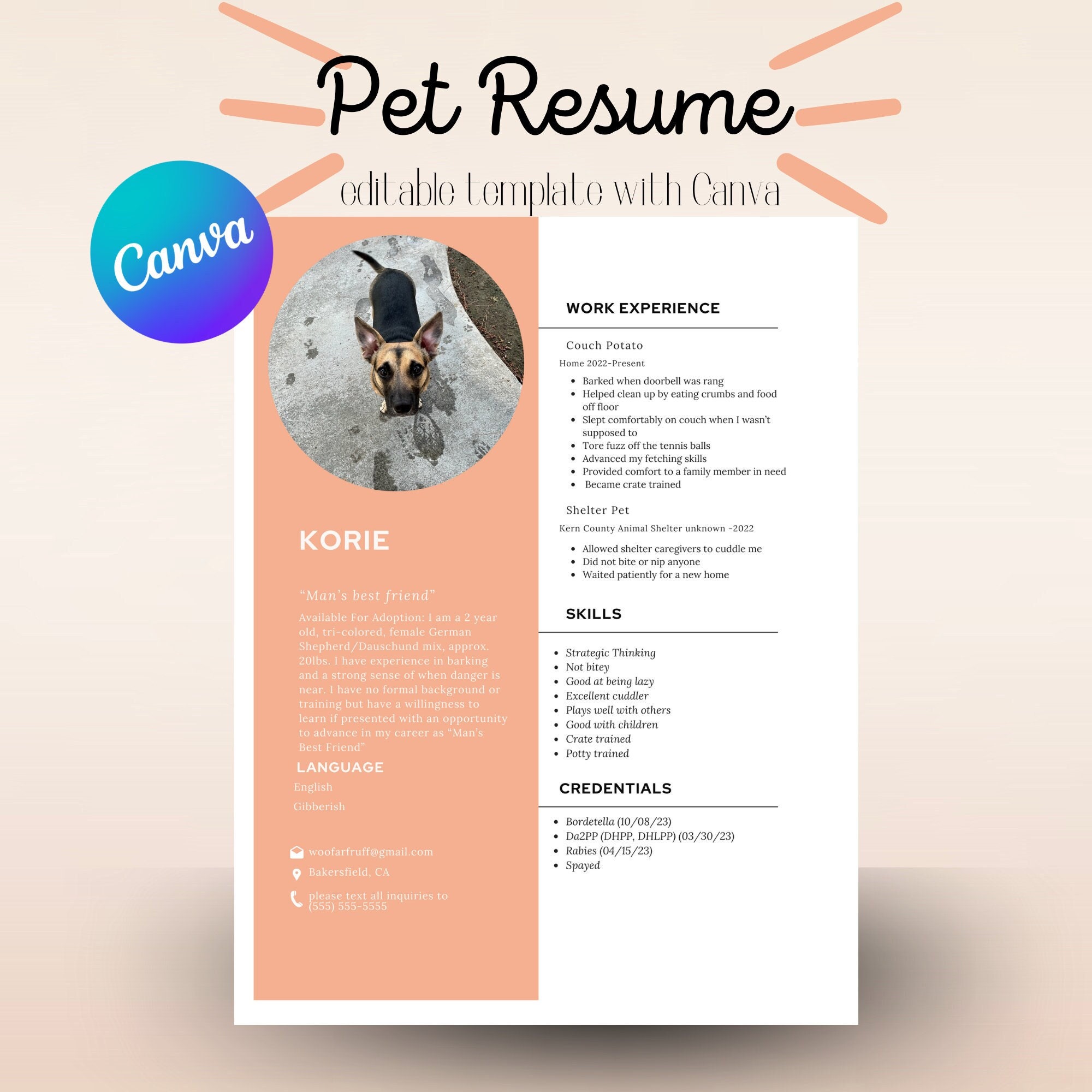 Dog Resume Pet Resume for Rehoming Pet Bio Adoption Resume - Etsy