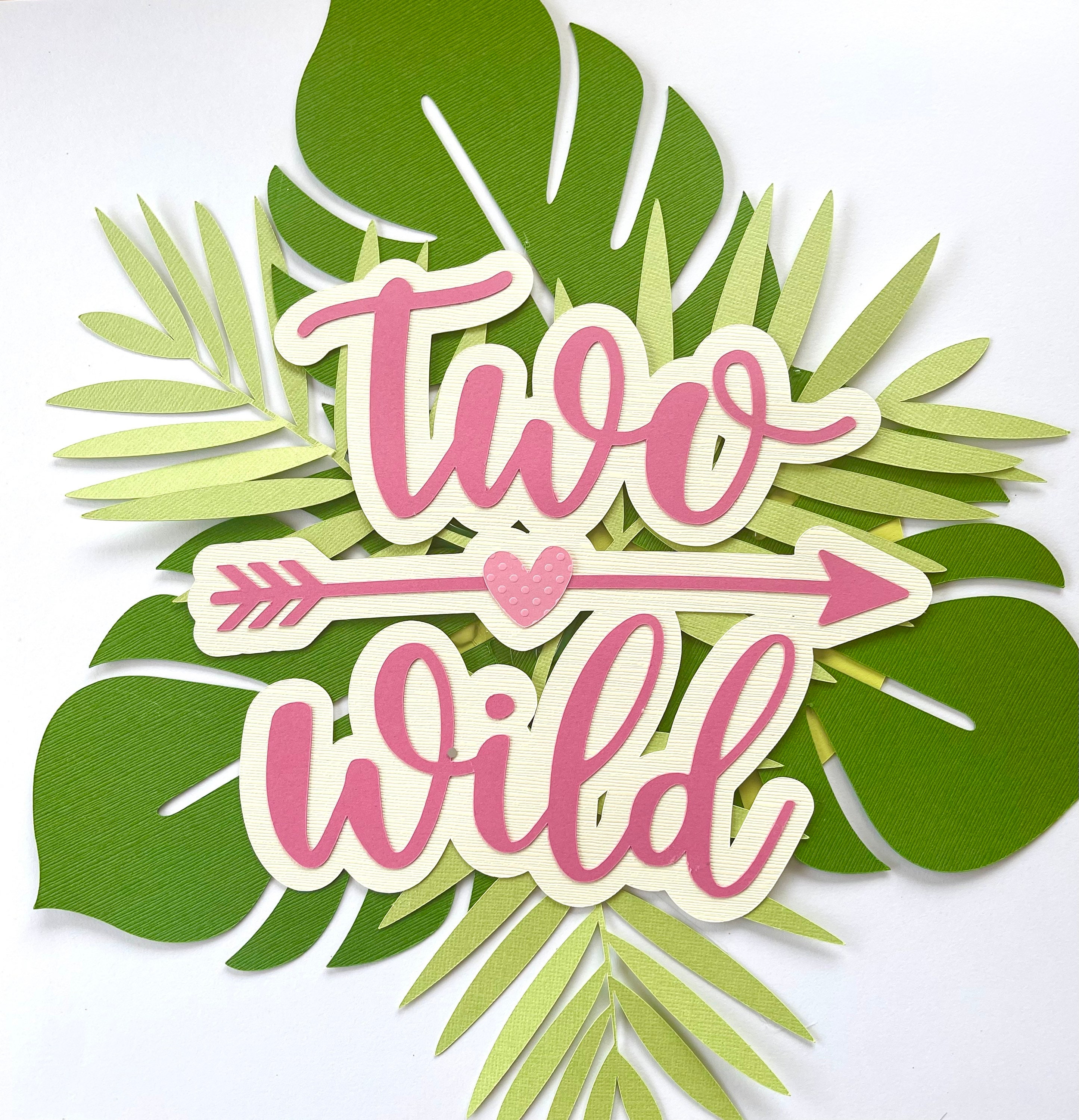 Two Wild Birthday Party Cake Topper! - Etsy