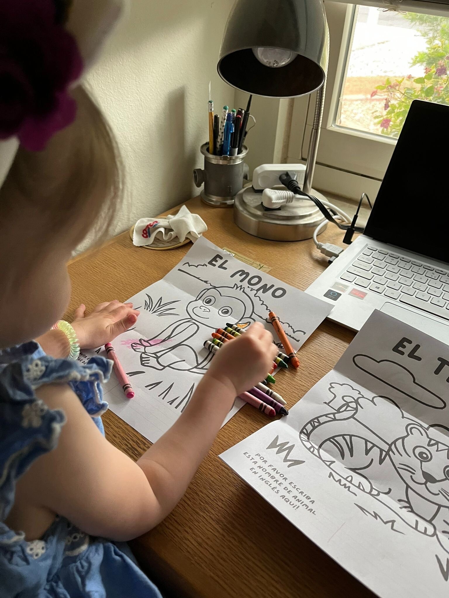 Bilingual Zoo Animal Coloring Pages: Learn Spanish, Fun Coloring Pages ...