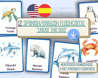 Bilingual Spanish English Colors Vocabulary Flashcards for - Etsy