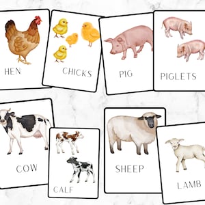 Farm Animals Printable Flashcards, Printable Cards Preschool, Farm ...