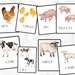 Farm Animals Printable Flashcards, Printable Cards Preschool, Farm ...