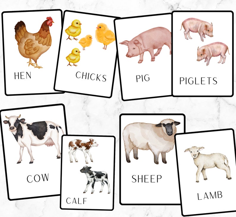 Farm Animals Printable Flashcards, Printable Cards Preschool, Farm ...