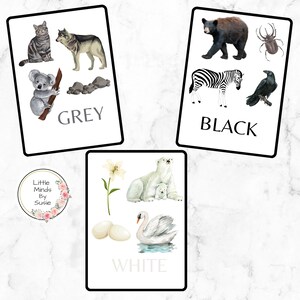 Nature Themed Color Flashcards | Preschool | Kindergarten | Homeschool ...