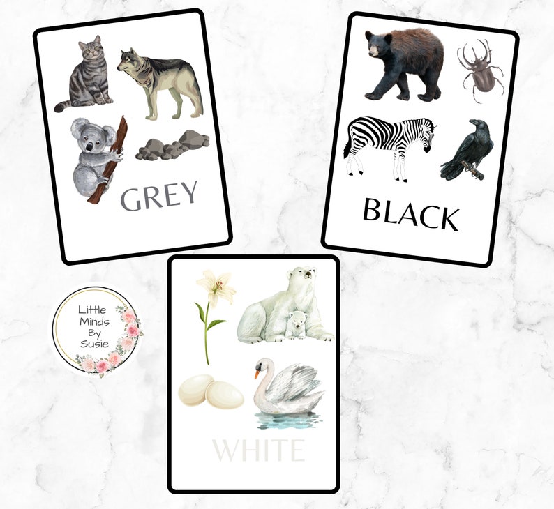Nature Themed Color Flashcards | Preschool | Kindergarten | Homeschool ...