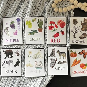 Nature Themed Color Flashcards | Preschool | Kindergarten | Homeschool ...