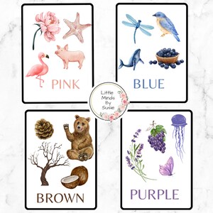 Nature Themed Color Flashcards | Preschool | Kindergarten | Homeschool ...