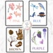 Nature Themed Color Flashcards Preschool Kindergarten Homeschool Nature ...