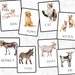 Farm Animals Printable Flashcards, Printable Cards Preschool, Farm ...