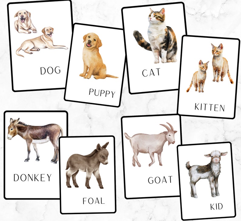 Farm Animals Printable Flashcards, Printable Cards Preschool, Farm ...