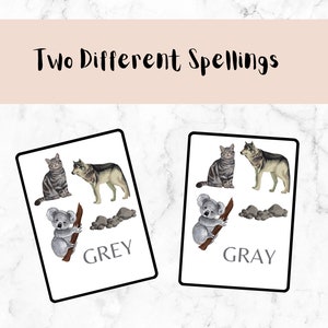 Nature Themed Color Flashcards | Preschool | Kindergarten | Homeschool ...